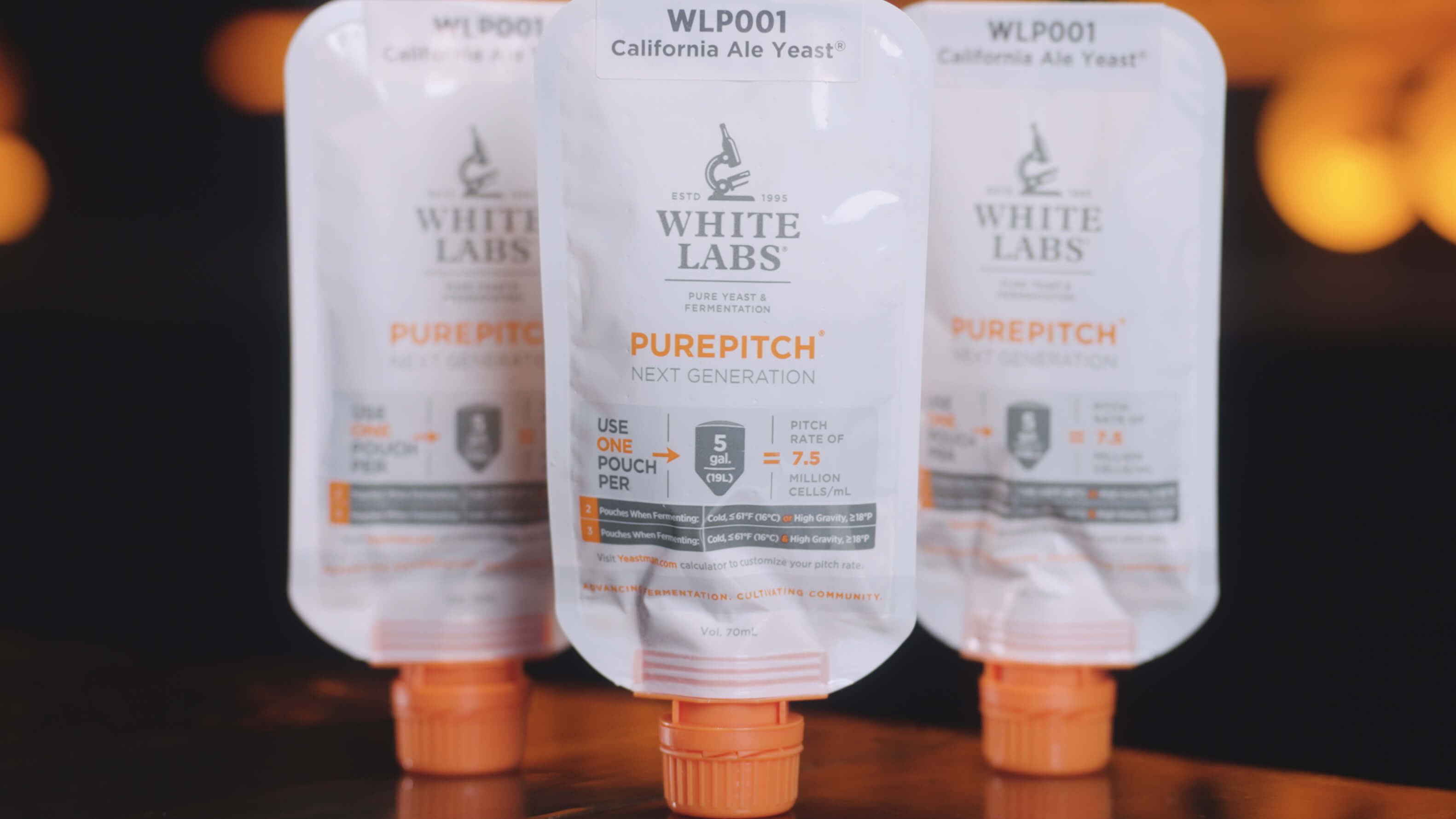 Yeast and Fermentation | White Labs