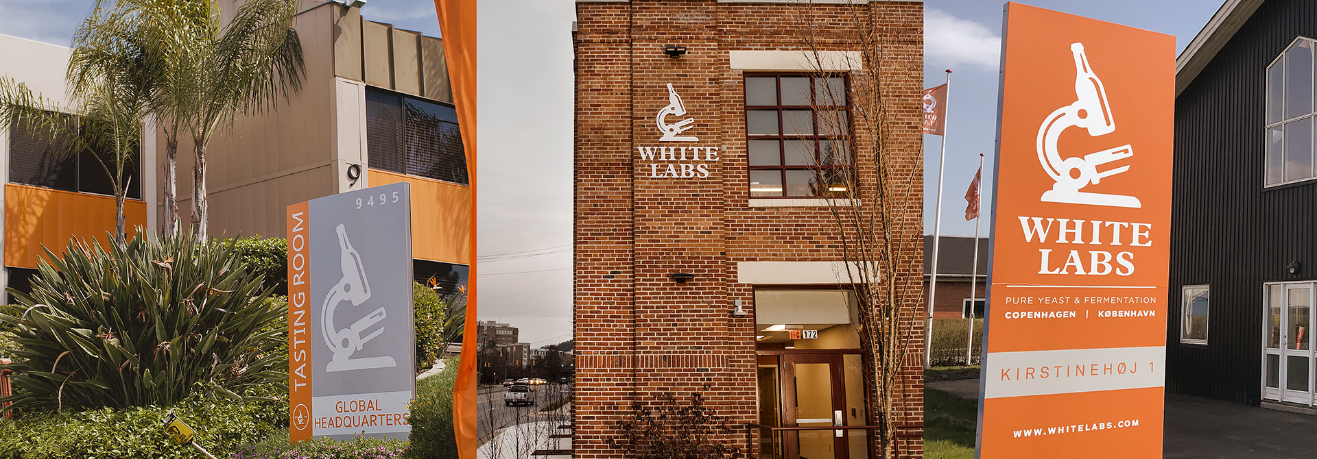 Yeast and Fermentation Company| White Labs