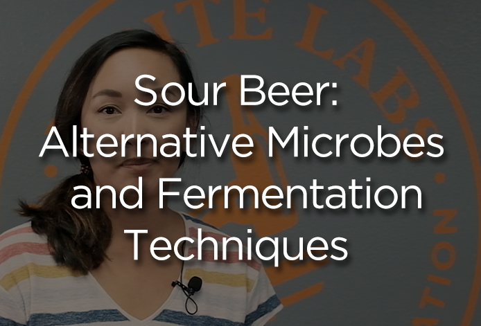 Fermentation Classes, Fermentation Courses | White Labs