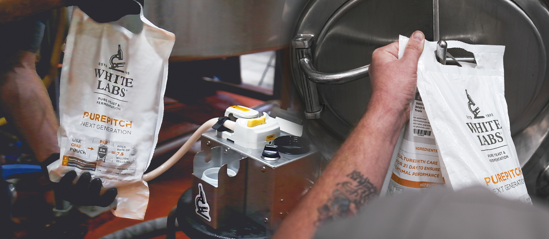 Yeast and Fermentation | White Labs