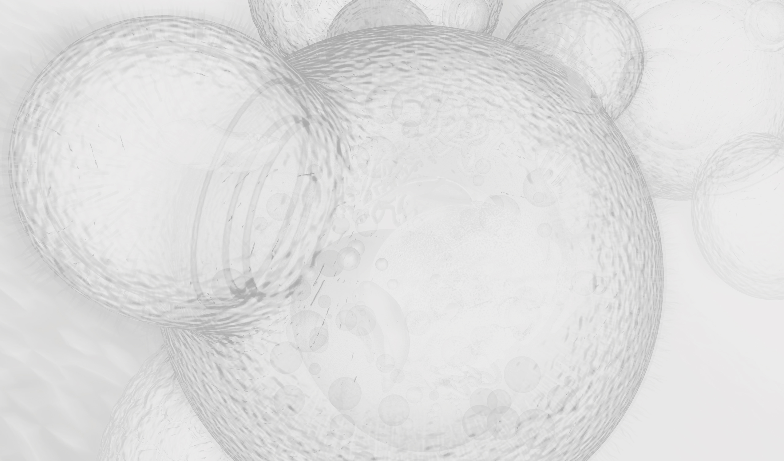 Yeast and Fermentation | White Labs